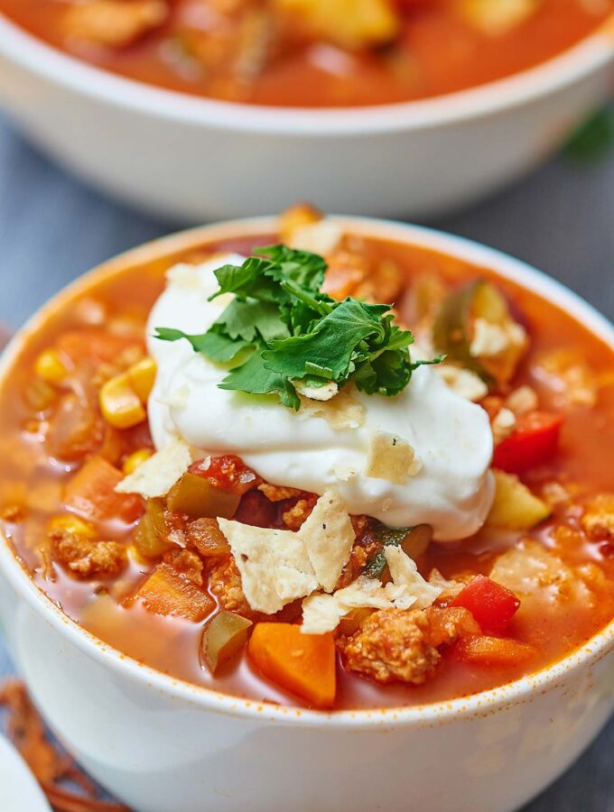 Healthy Turkey Stew Recipe - Made in Slow Cooker