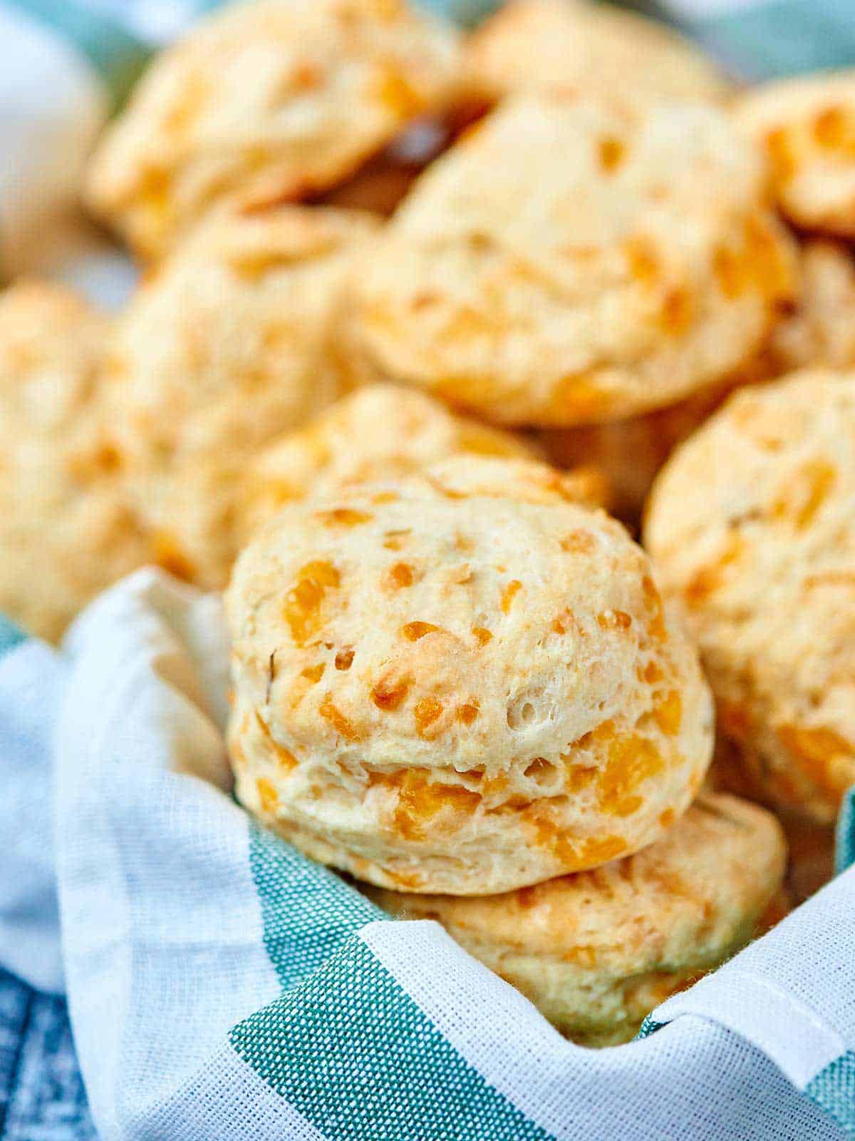 Roasted Garlic Cheddar Beer Biscuits - w/ Rosemary