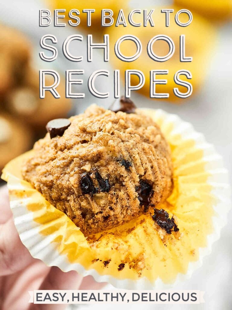The Best Back to School Recipes 2016 - Easy, Healthy, Delicious!