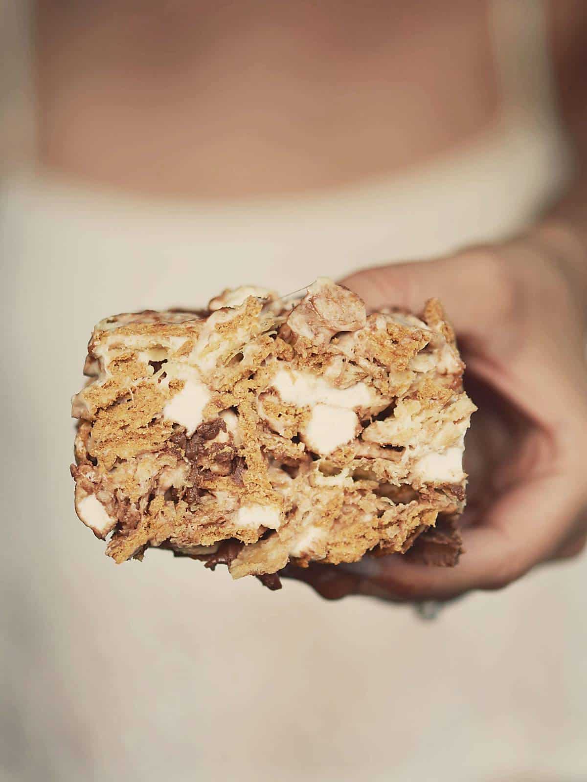 Magic Cookie Bars - w/ Sweetened Condensed Milk, but No Nuts!