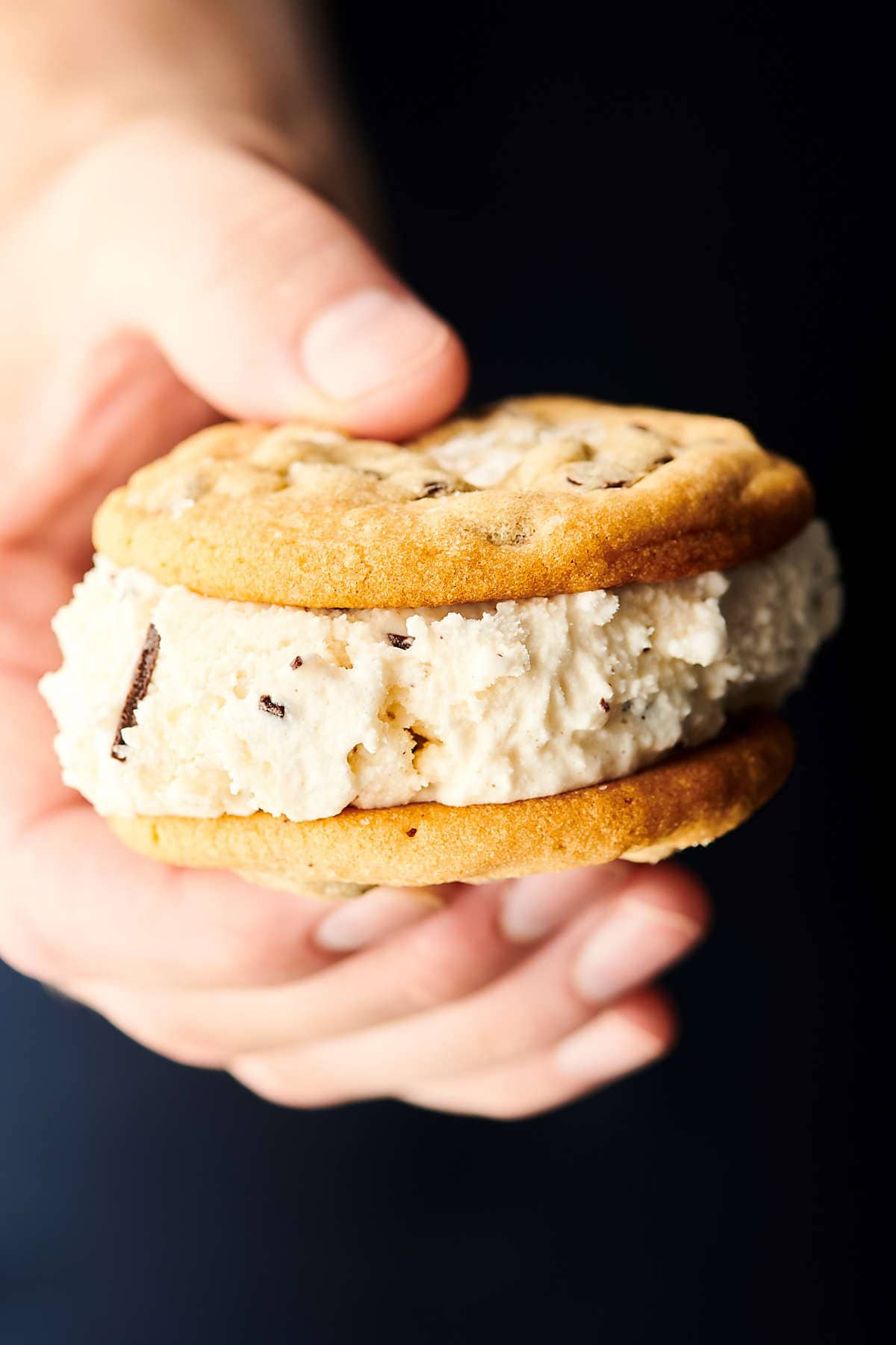 Easy Ice Cream Cookie Sandwich Recipe - Four ways!
