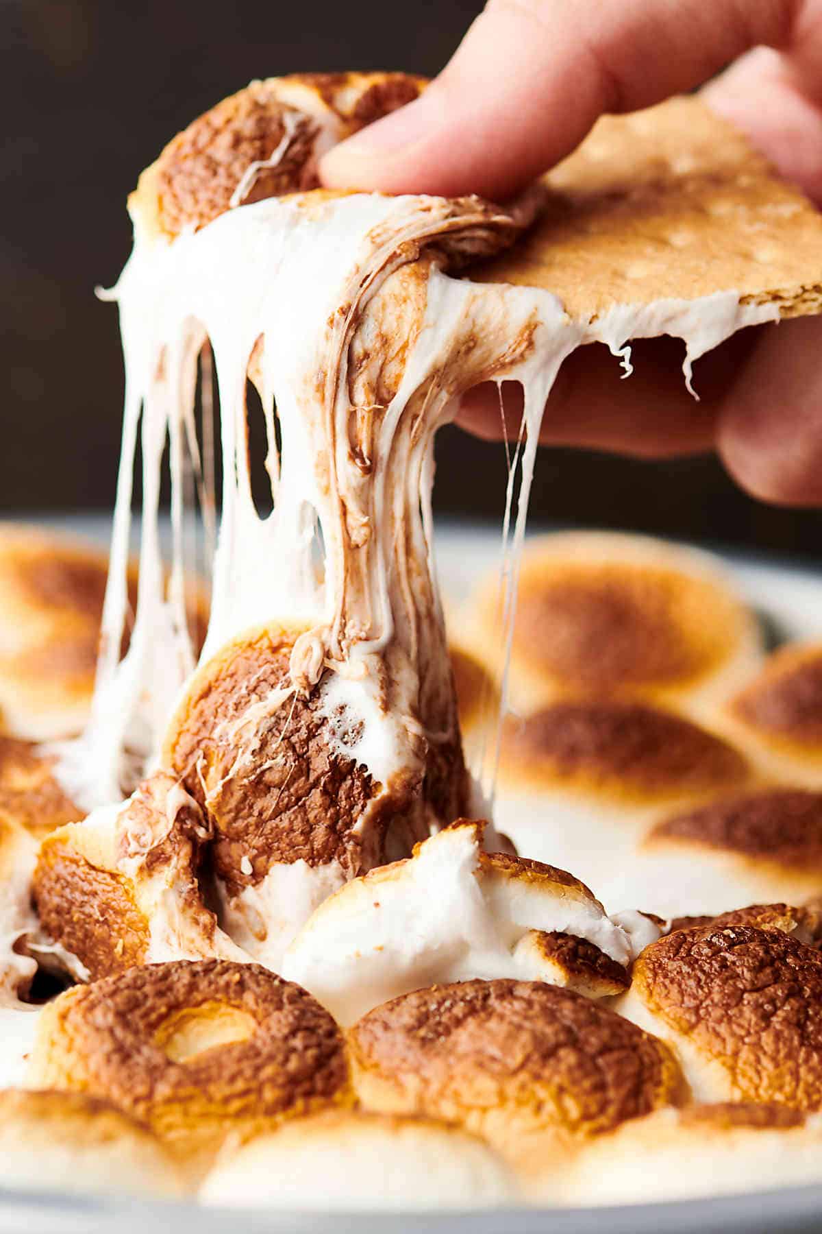 Smores Dip - Easy, Delicious, and Made FOUR Ways!