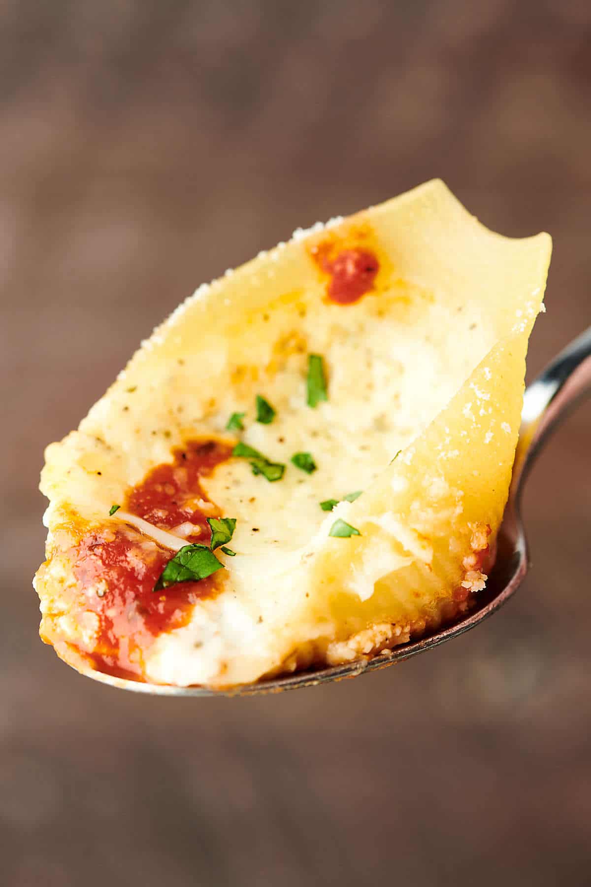 Stuffed Shells - with Cottage Cheese Filling, Vegetarian Dinner!