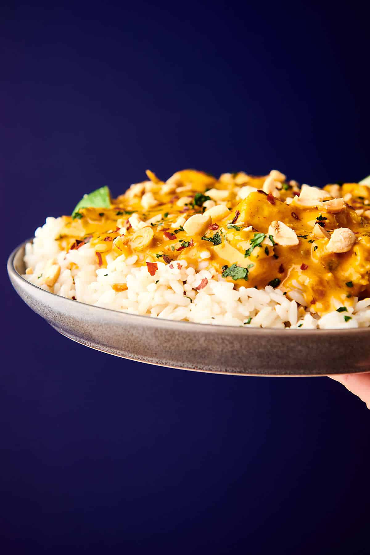 Red Curry - with Chicken and Veggies - Ready in 40 Minutes!