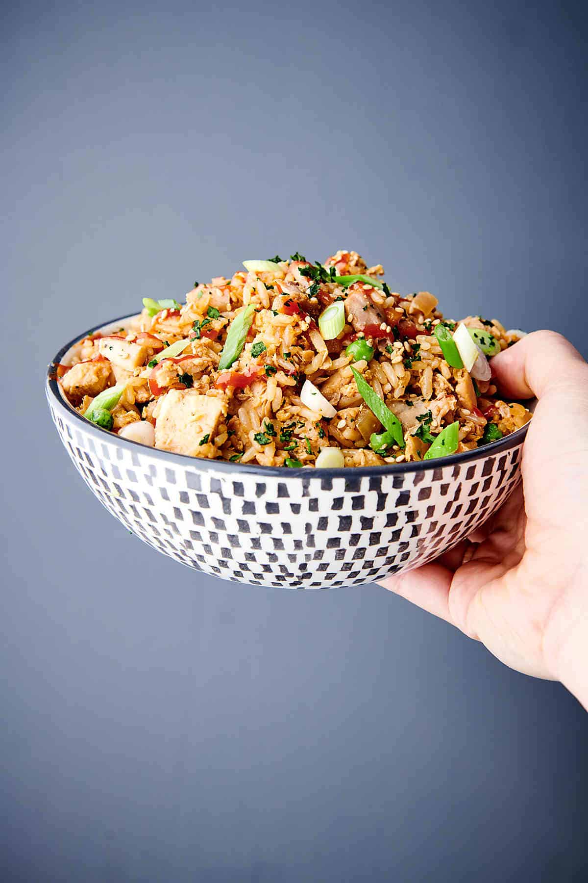 Instant Pot Chicken Fried Rice - with Instant Pot Rice!