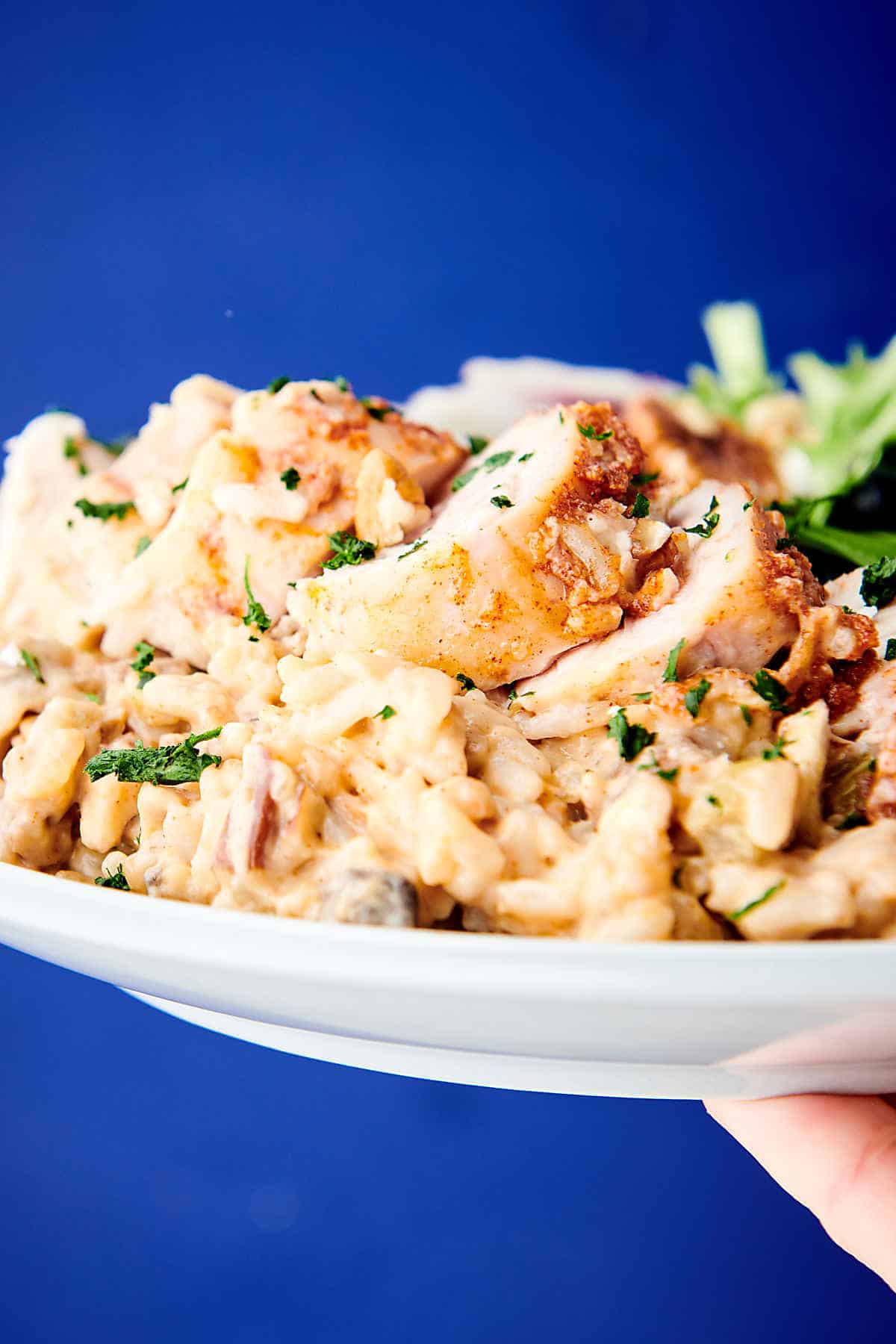 Chicken and Rice Recipe - One Dish Chicken and Rice Casserole