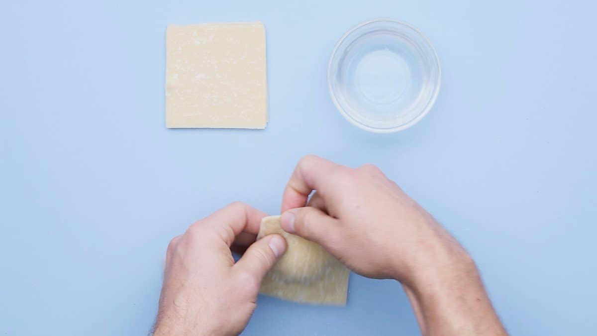 Cheese Ravioli - with Wonton Wrappers and Five Types of Cheese!