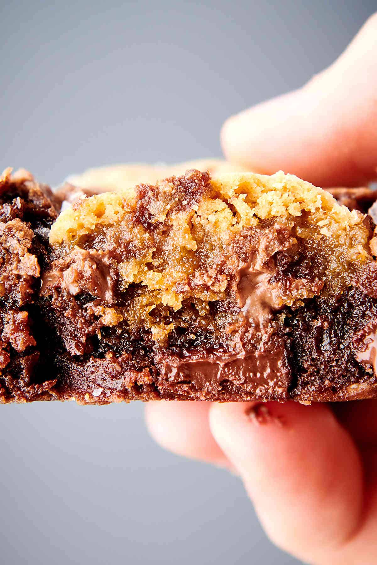 Brookie - Brownie and Chocolate Chip Cookie Mashup!