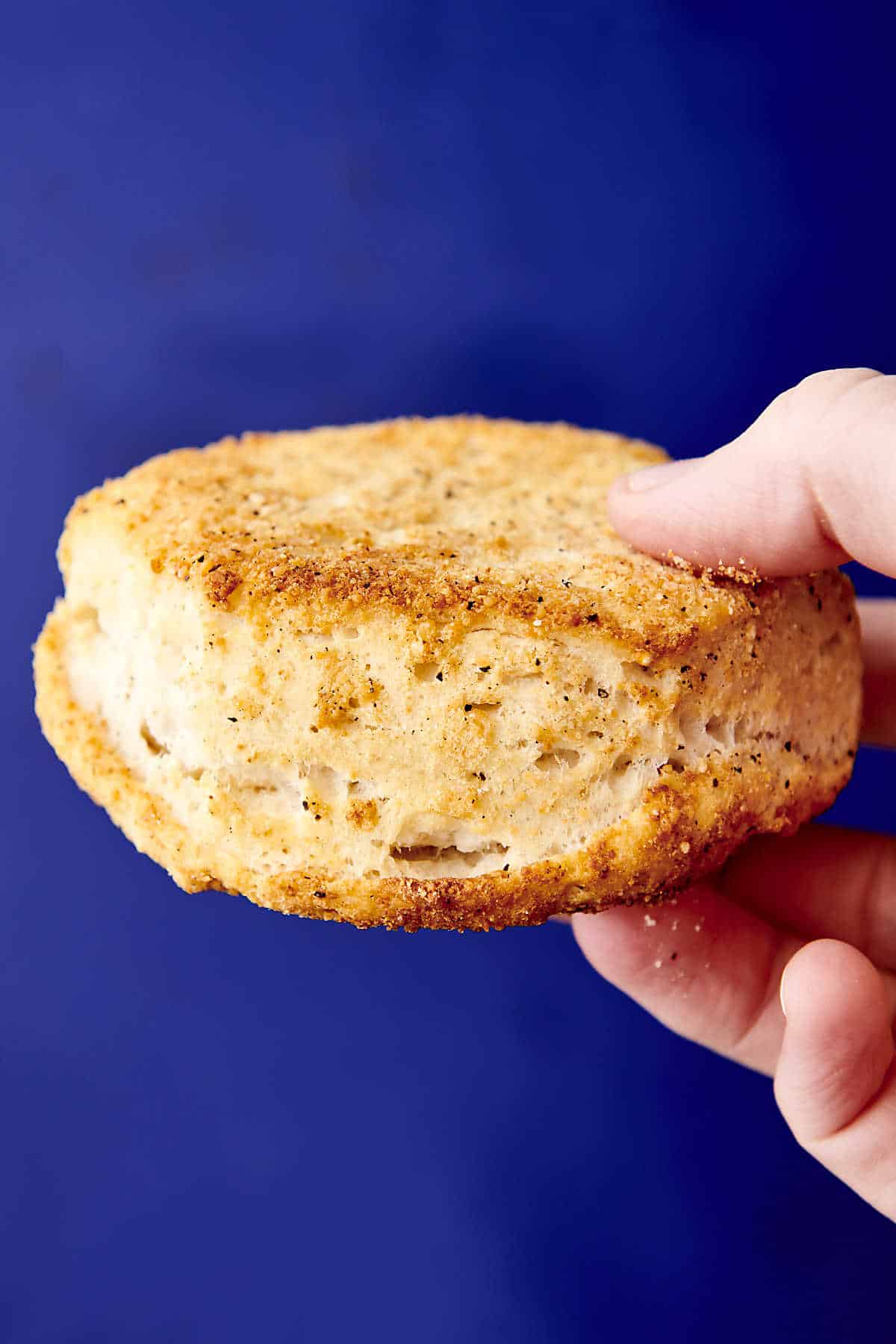 Air Fryer Biscuits - with Canned Refrigerated Biscuits