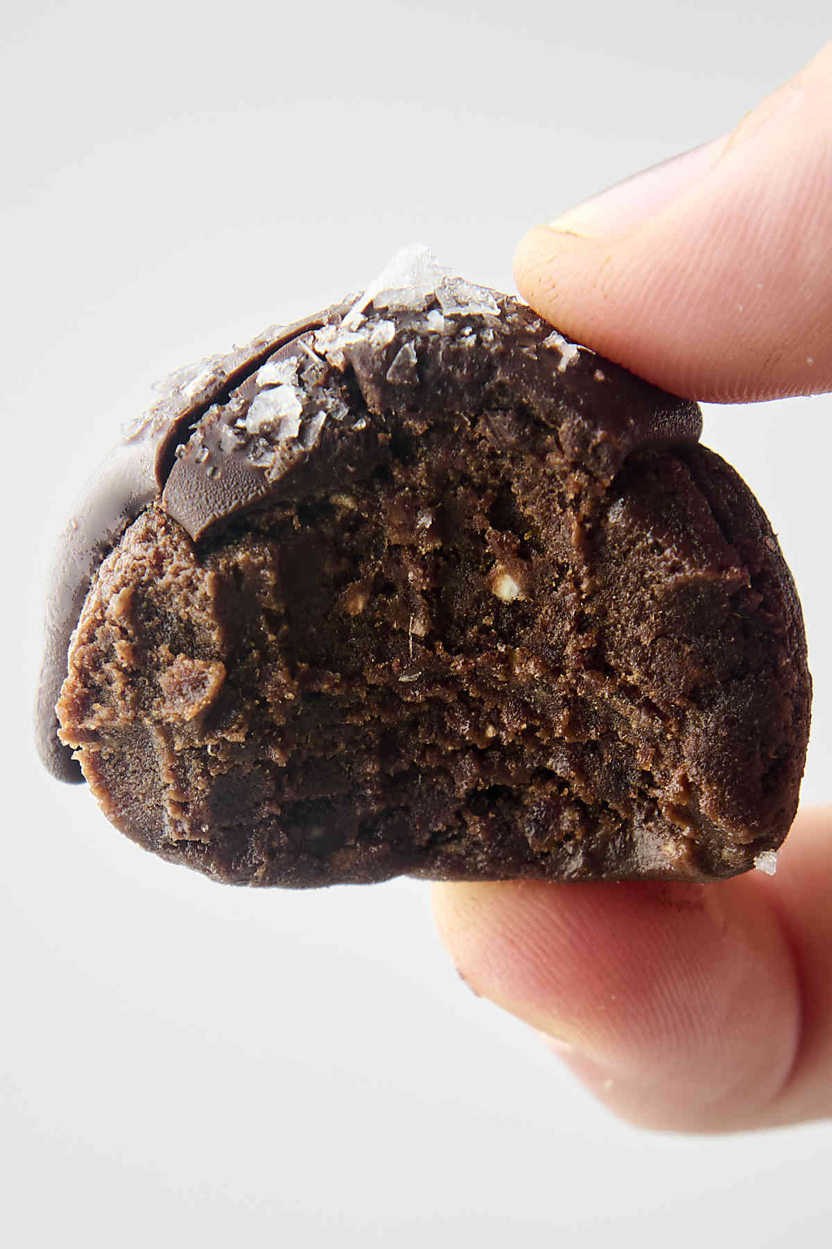Date Bites - No-Bake Energy Balls